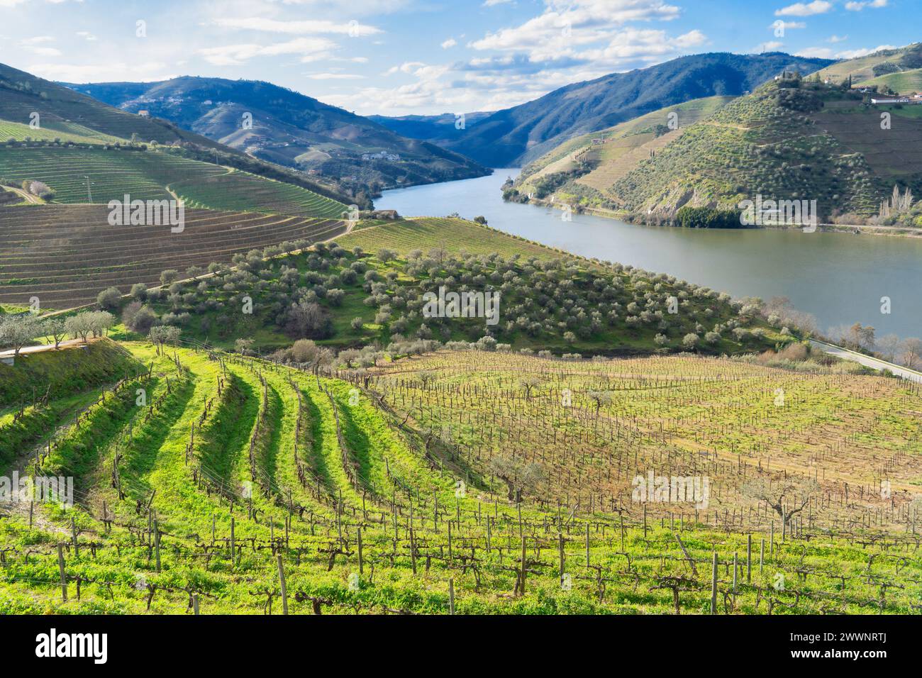Douro wine region fog portugal hi-res stock photography and images - Alamy
