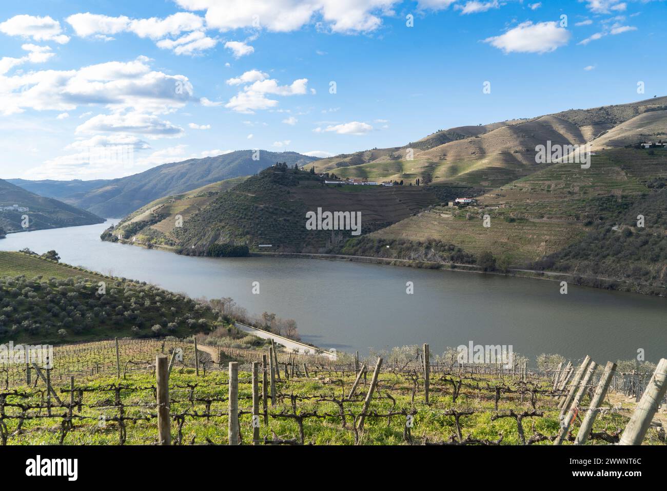 Douro wine region fog portugal hi-res stock photography and images - Alamy