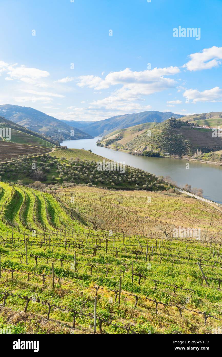 Douro wine region fog portugal hi-res stock photography and images - Alamy