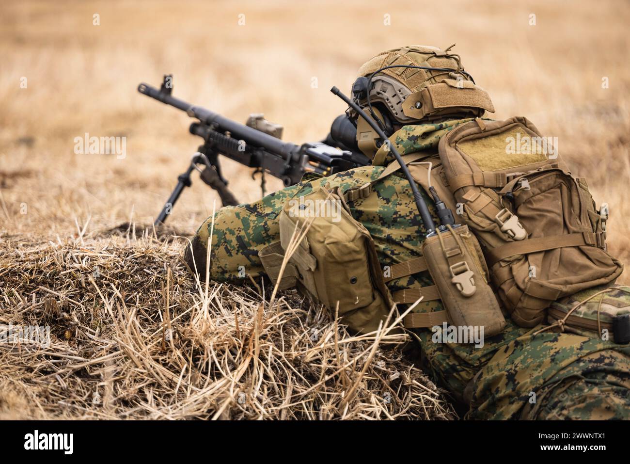 A U.S. Marine fires an M240B machine gun during a live-fire and ...