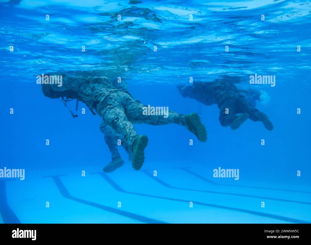 U.S. Marine Corps Forces, Pacific (MARFORPAC), Marines swim with their ...