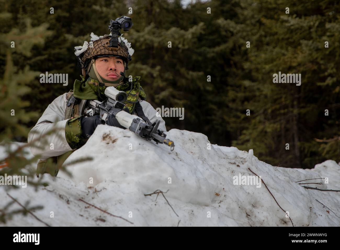A Canadian Soldier assigned to Alpha (Para) Company, 3rd Battalion ...