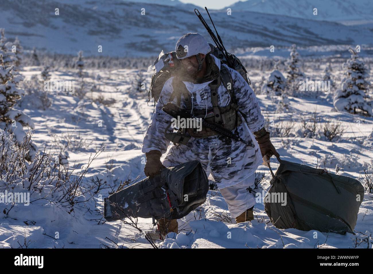 A U.S. Army Soldier from 3rd Battalion, 509th Parachute Infantry ...