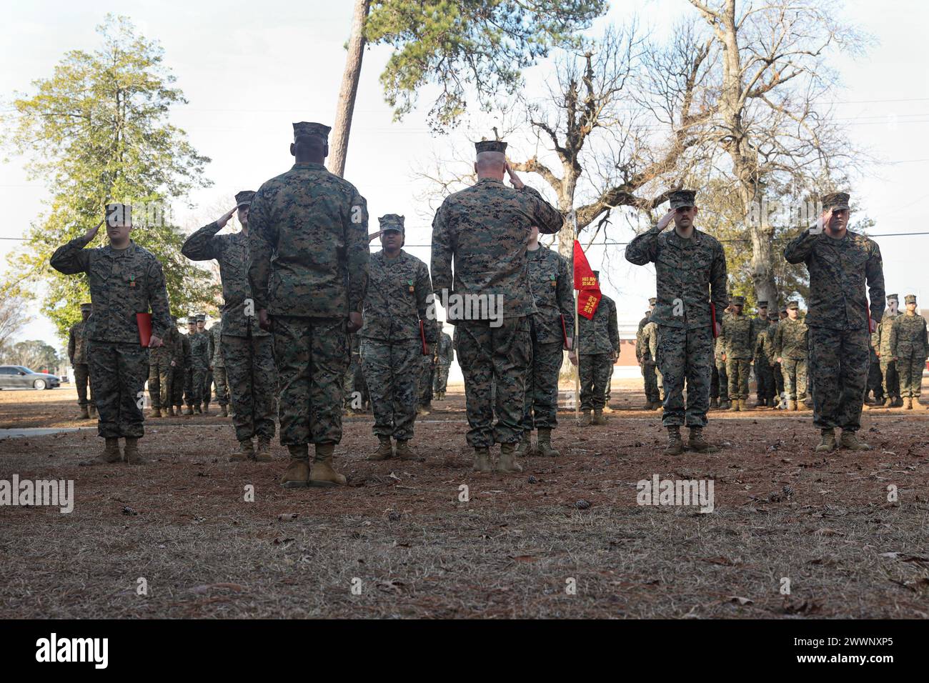 Administrative assessment hi-res stock photography and images - Alamy