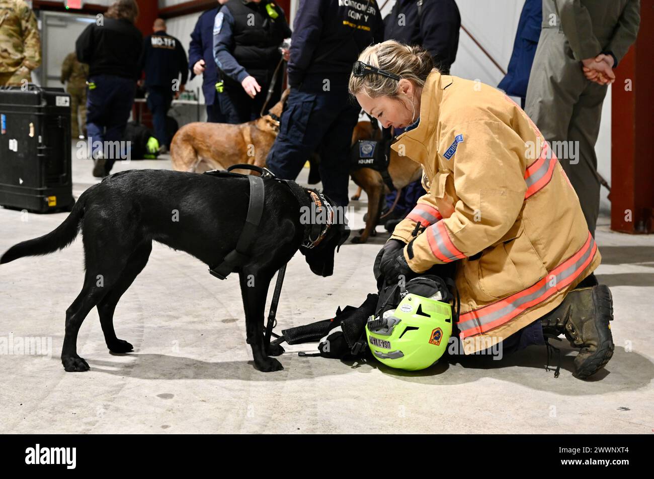 Maryland Task Force 1 (MD-TF1) and Virginia Task Force 1 (VA-TF1) of ...