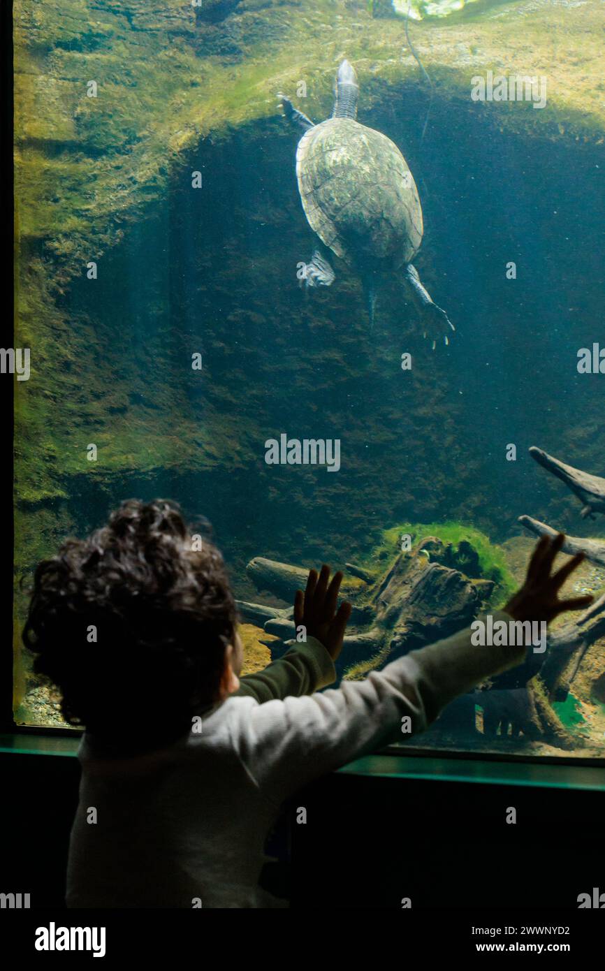 ZSL London Zoo, London, UK. 25th March 2024. London Zoo opens Secret ...