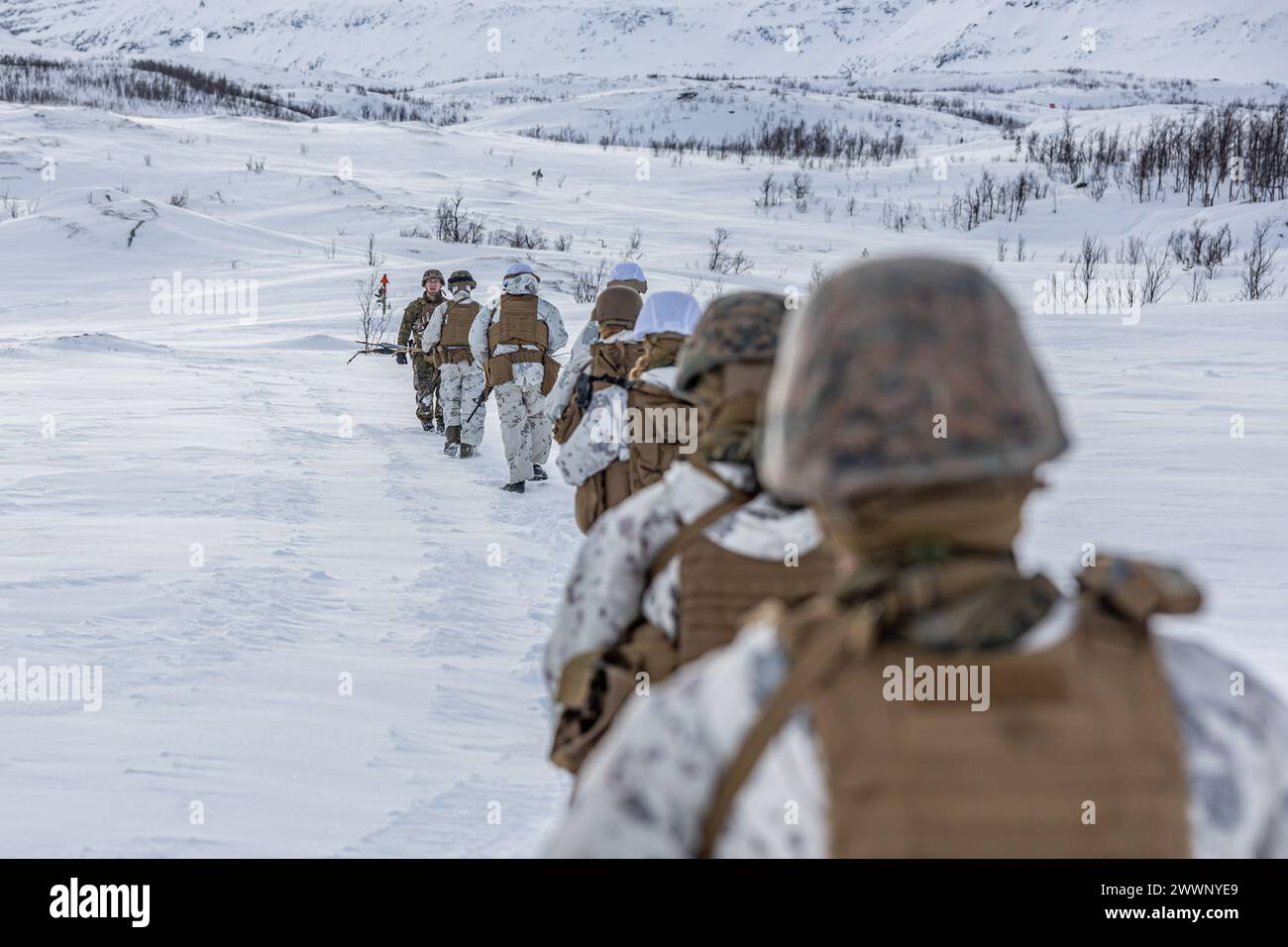 U.S. Marines with Combat Logistics Battalion 6, Combat Logistics ...