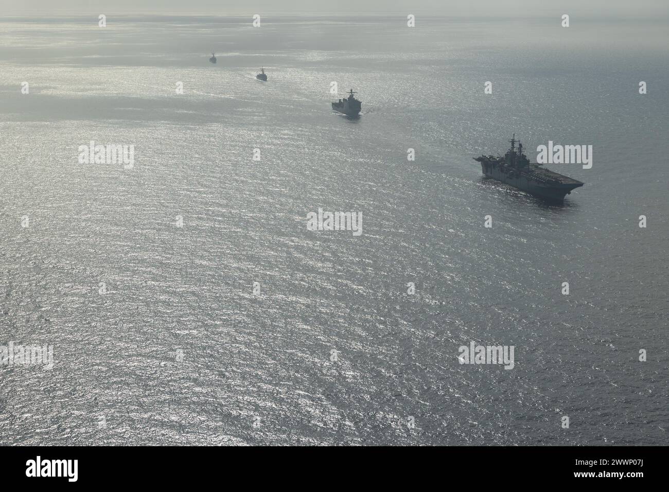 Turkish wasp hi-res stock photography and images - Alamy