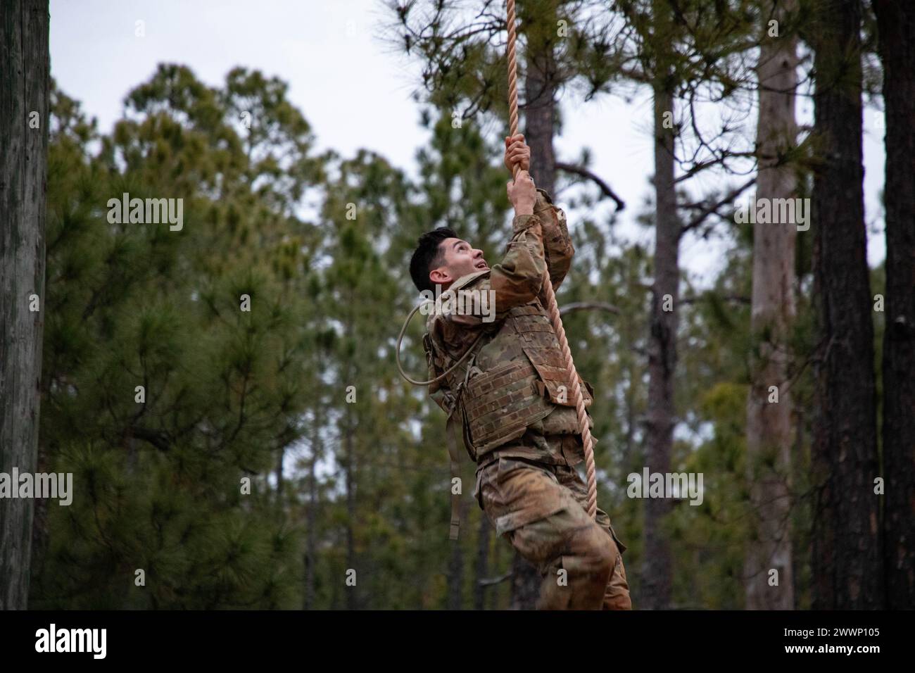 FORT EISENHOWER. Ga. – Apex Company, 11th Cyber Battalion, completed ...