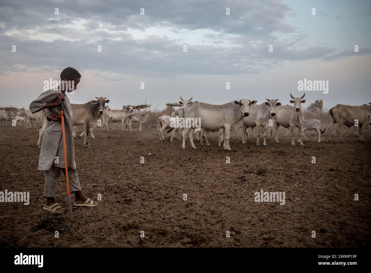 South Sudan. 19th Mar, 2024. Much of South Sudan's population depend ...
