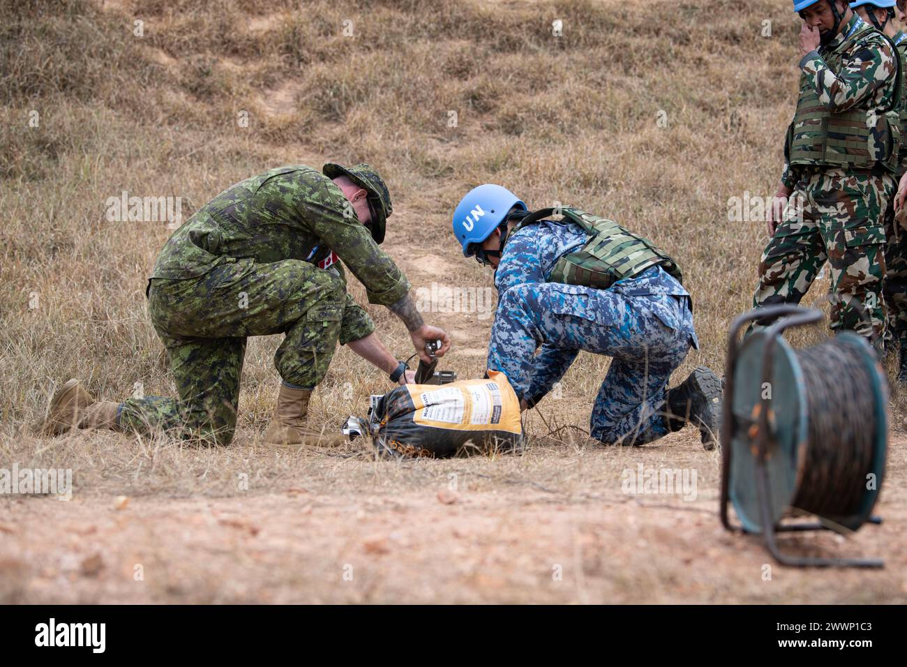 A Canadian Army Explosive Ordnance Disposal (EOD) technician oversees ...
