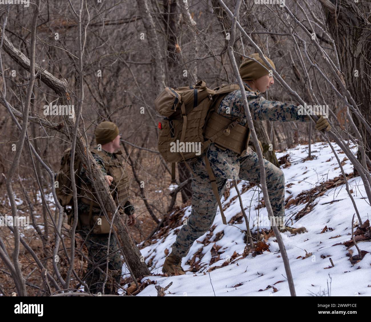 Land navigation course hi-res stock photography and images - Alamy