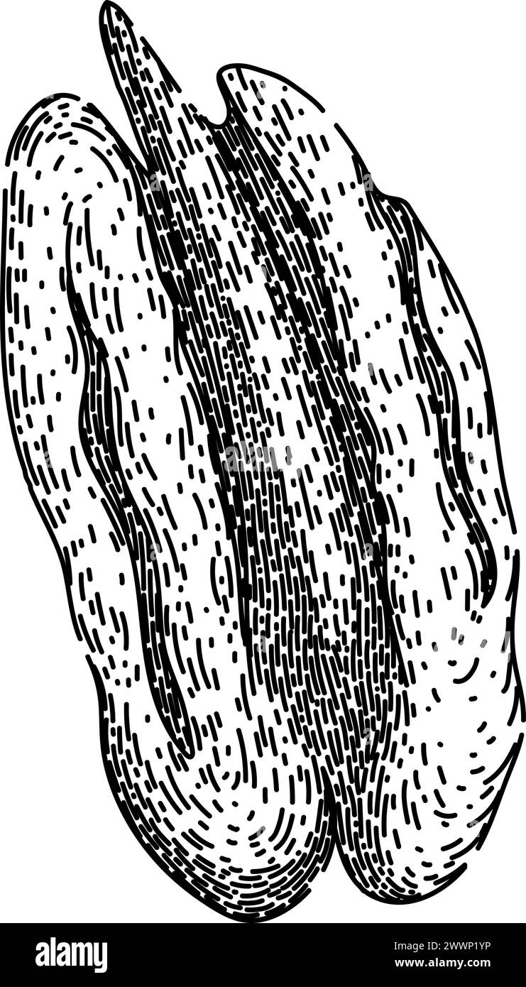 Sunflower hand drawn seamless Black and White Stock Photos & Images - Alamy