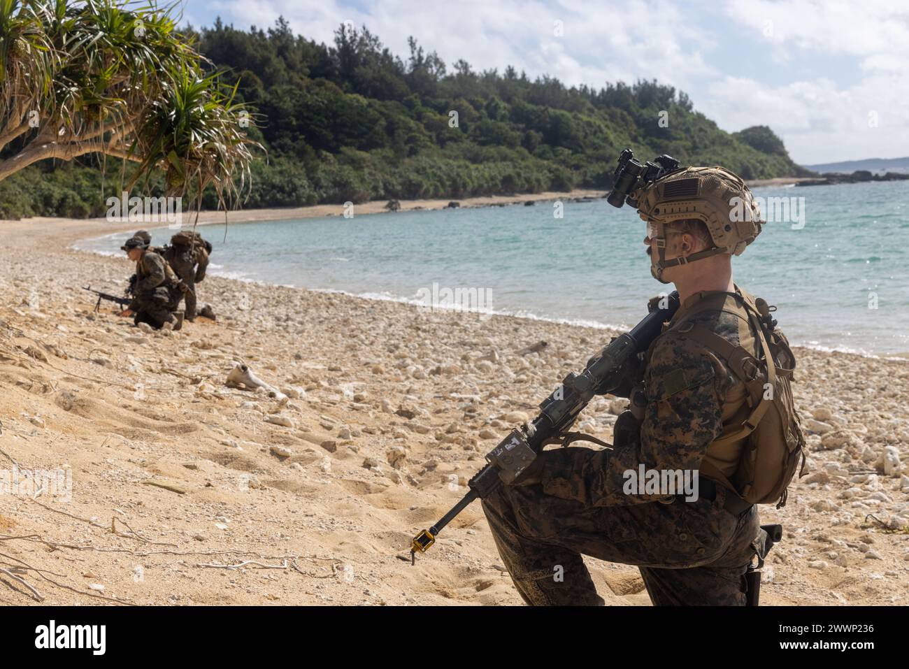 U.S. Marines with Battalion Landing Team 1/1, 31st Marine Expeditionary ...