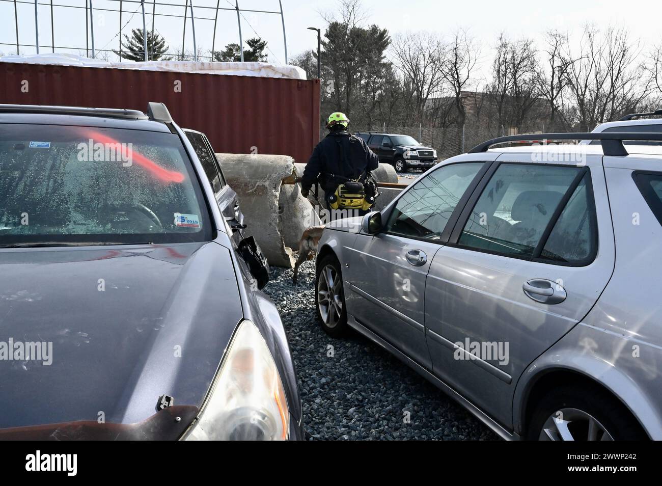 Maryland Task Force 1 (MD-TF1) and Virginia Task Force 1 (VA-TF1) of ...