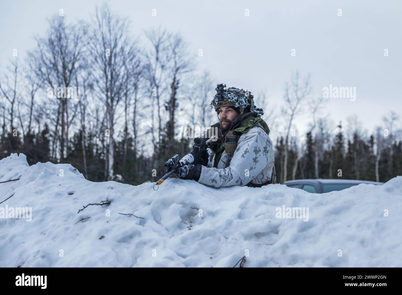 A Canadian Soldier assigned to Alpha (Para) Company, 3rd Battalion ...