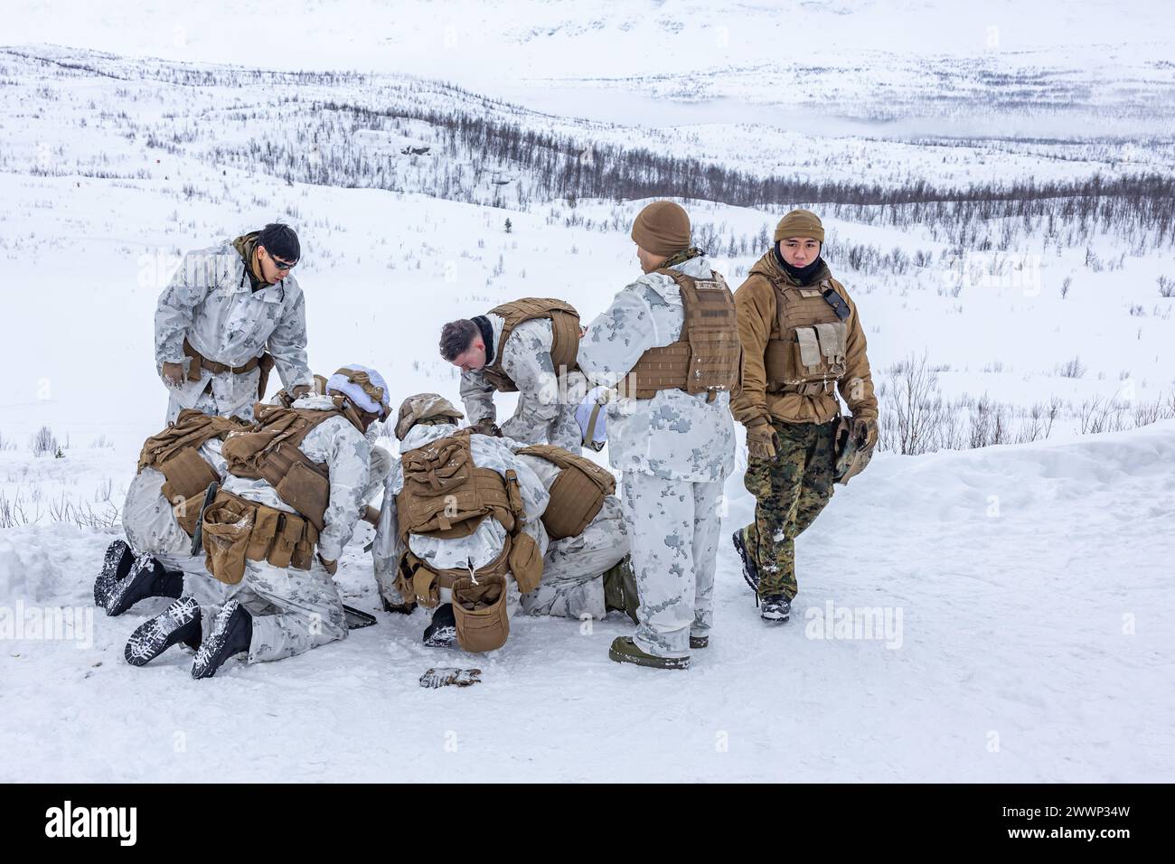 U.S. Marines with Combat Logistics Battalion 6, Combat Logistics ...