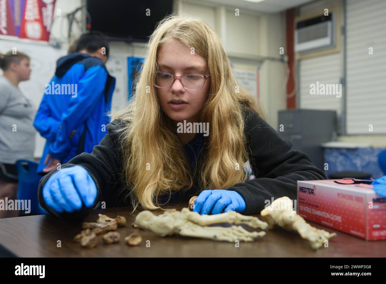 Students at Aliamanu Middle School participate in various activities ...
