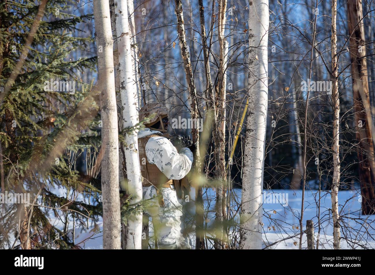 U.S. Staff Sgt. Marshal Wenong, an antitank missileman with Fox Battery ...