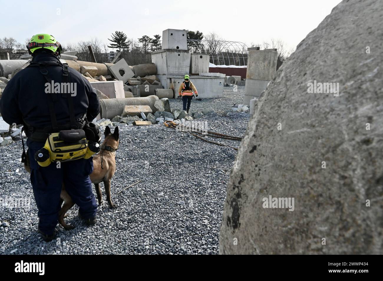 Maryland Task Force 1 (MD-TF1) and Virginia Task Force 1 (VA-TF1) of ...