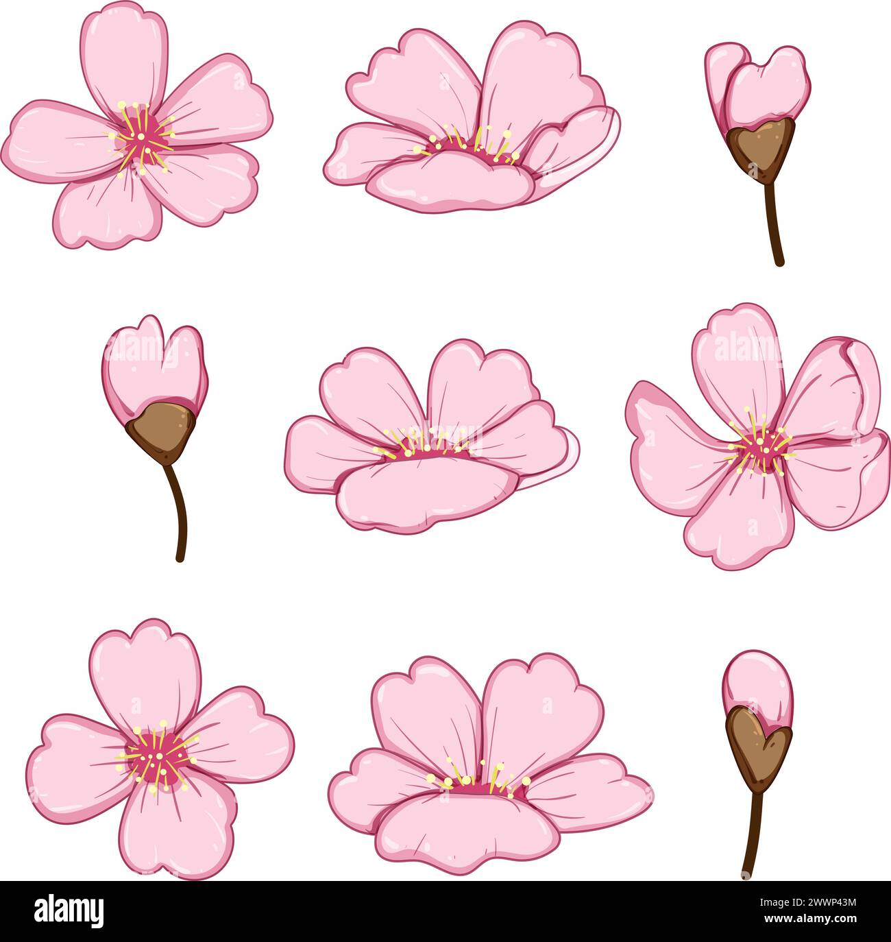 sakura cherry blossom set cartoon vector illustration Stock Vector ...
