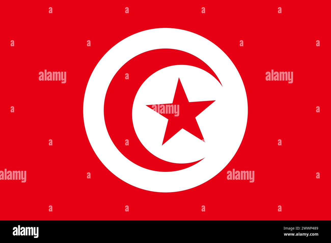 Tunisia flag - rectangular cutout of rotated vector flag Stock Vector ...