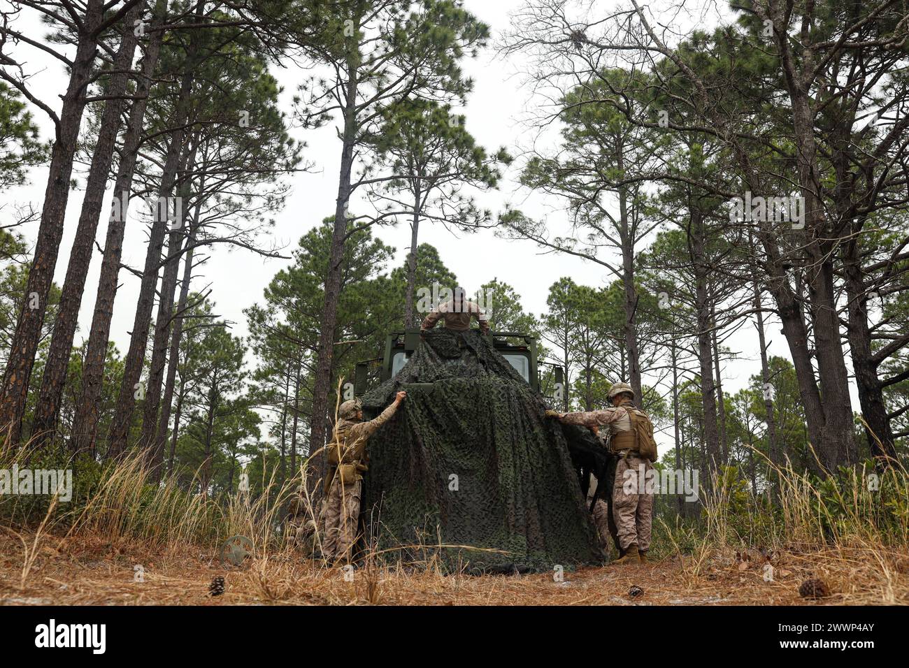 U.S. Marines with 2nd Distribution Support Battalion, Combat Logistics ...