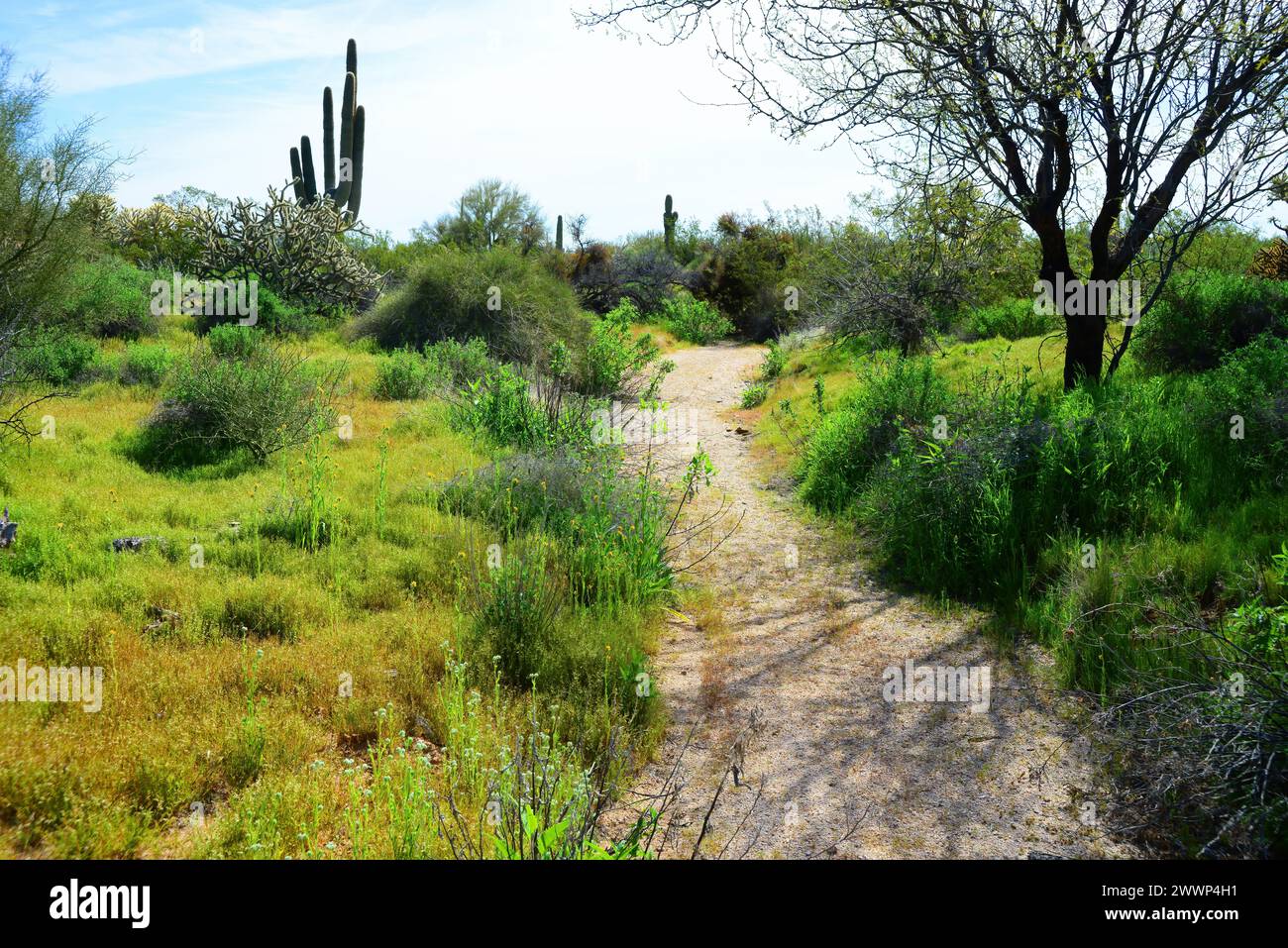 Intermittent flow hi-res stock photography and images - Alamy