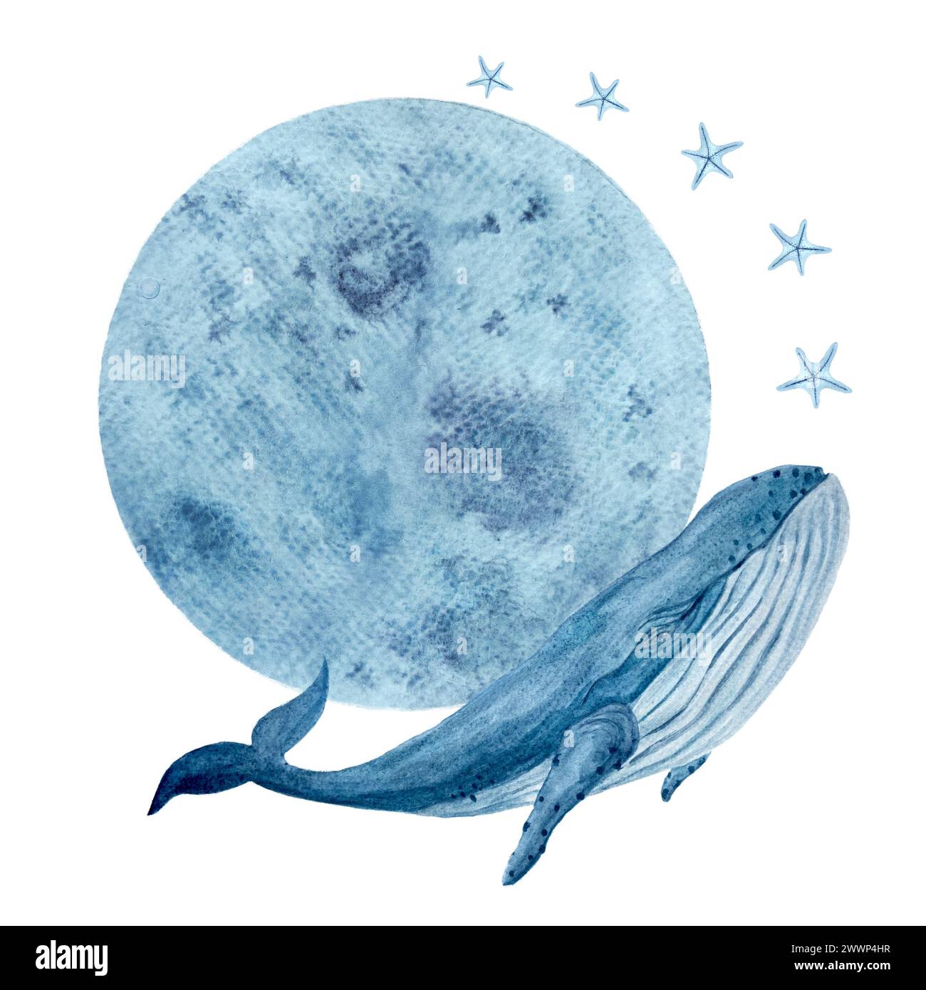 Watercolor hand-drawn humpback whale, a moon and starfish composition ...
