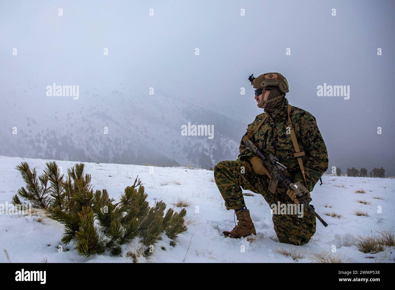 A U.S. Marine with the 26th Marine Expeditionary Unit (Special ...