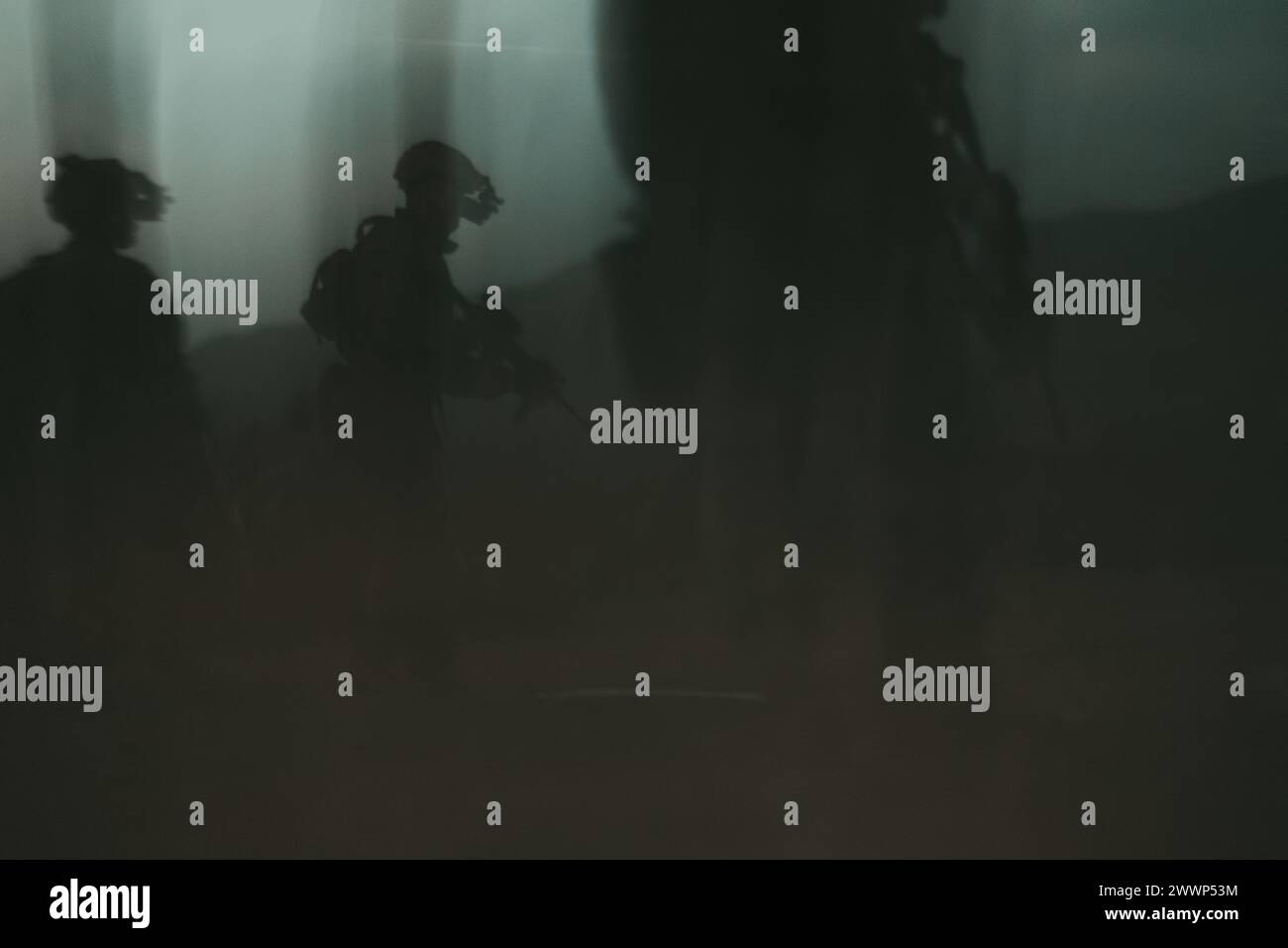 U.S. Marines with 5th Air Naval Gunfire Liaison Company, III Marine ...