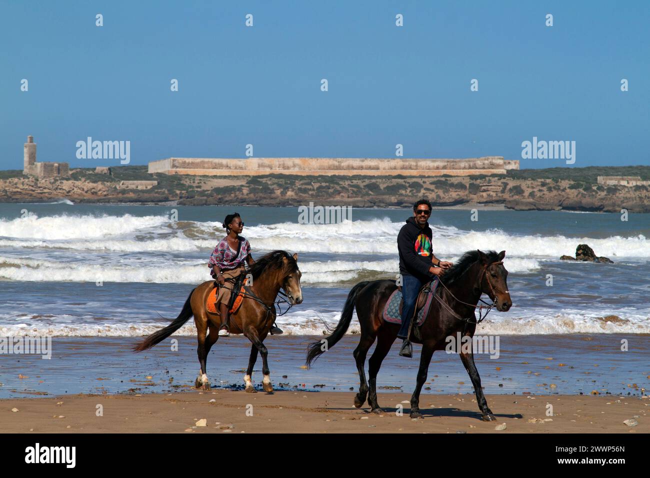 Cavalier arabe hi-res stock photography and images - Alamy