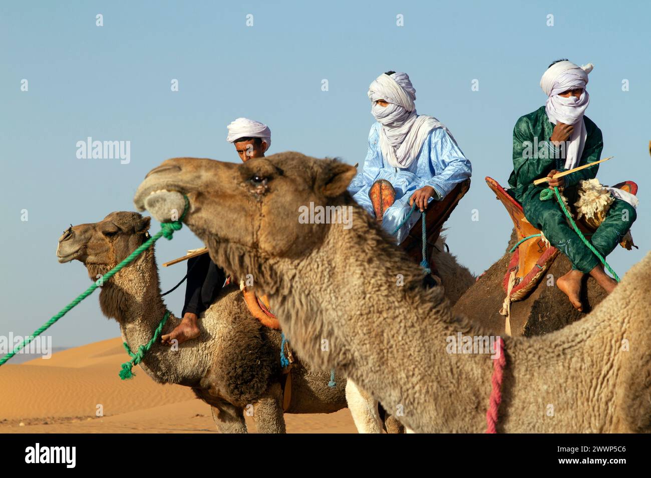 Festival international des nomades M'hamid El Ghizlane ,Morocco Stock ...