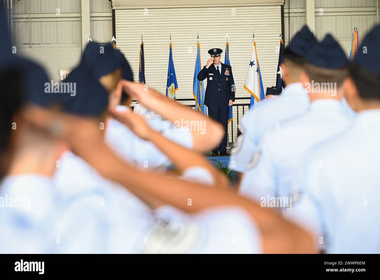 Gen. Kevin B. Schneider, Pacific Air Forces commander, renders his ...