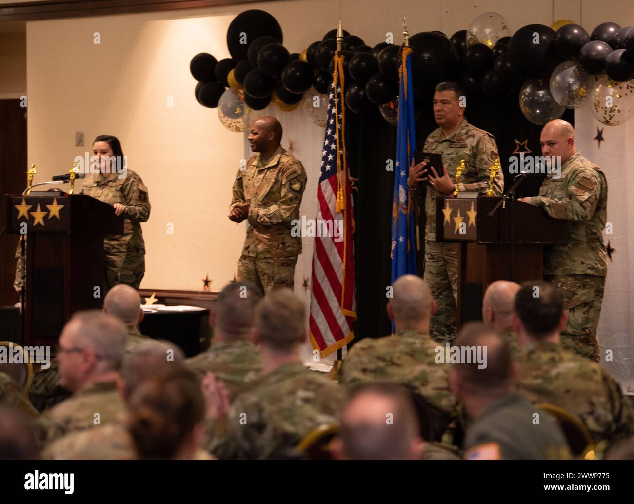 Members of the 349th Air Mobility Wing and other distinguished visitors ...
