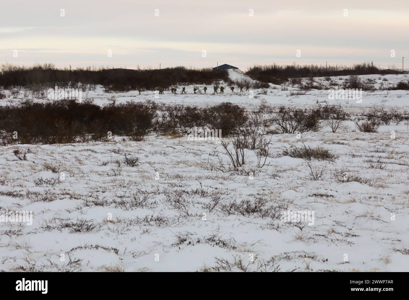 Alaska Army National Guardsmen with Bison Company, 1st Battalion, 297th ...