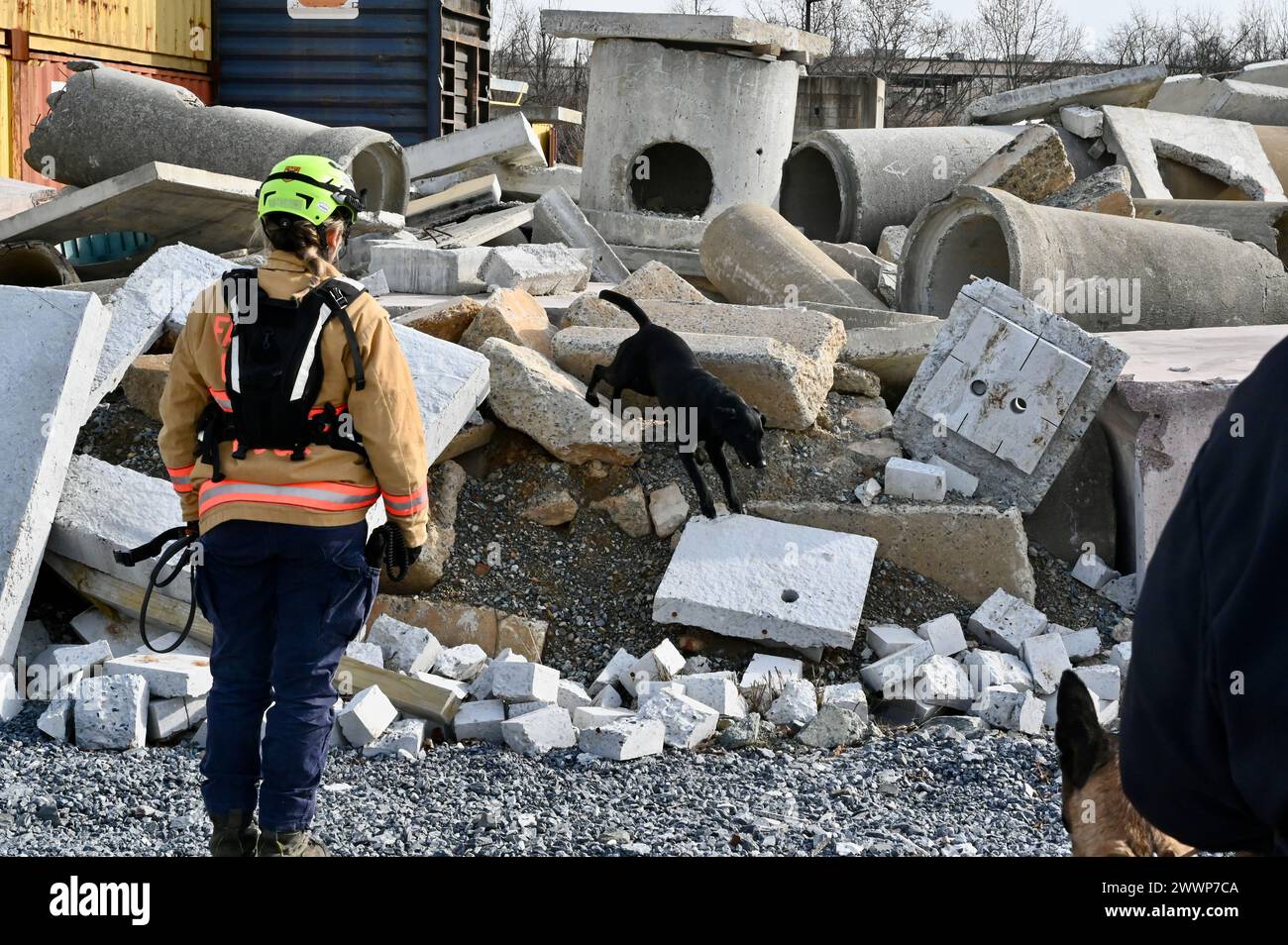 Maryland Task Force 1 (MD-TF1) and Virginia Task Force 1 (VA-TF1) of ...
