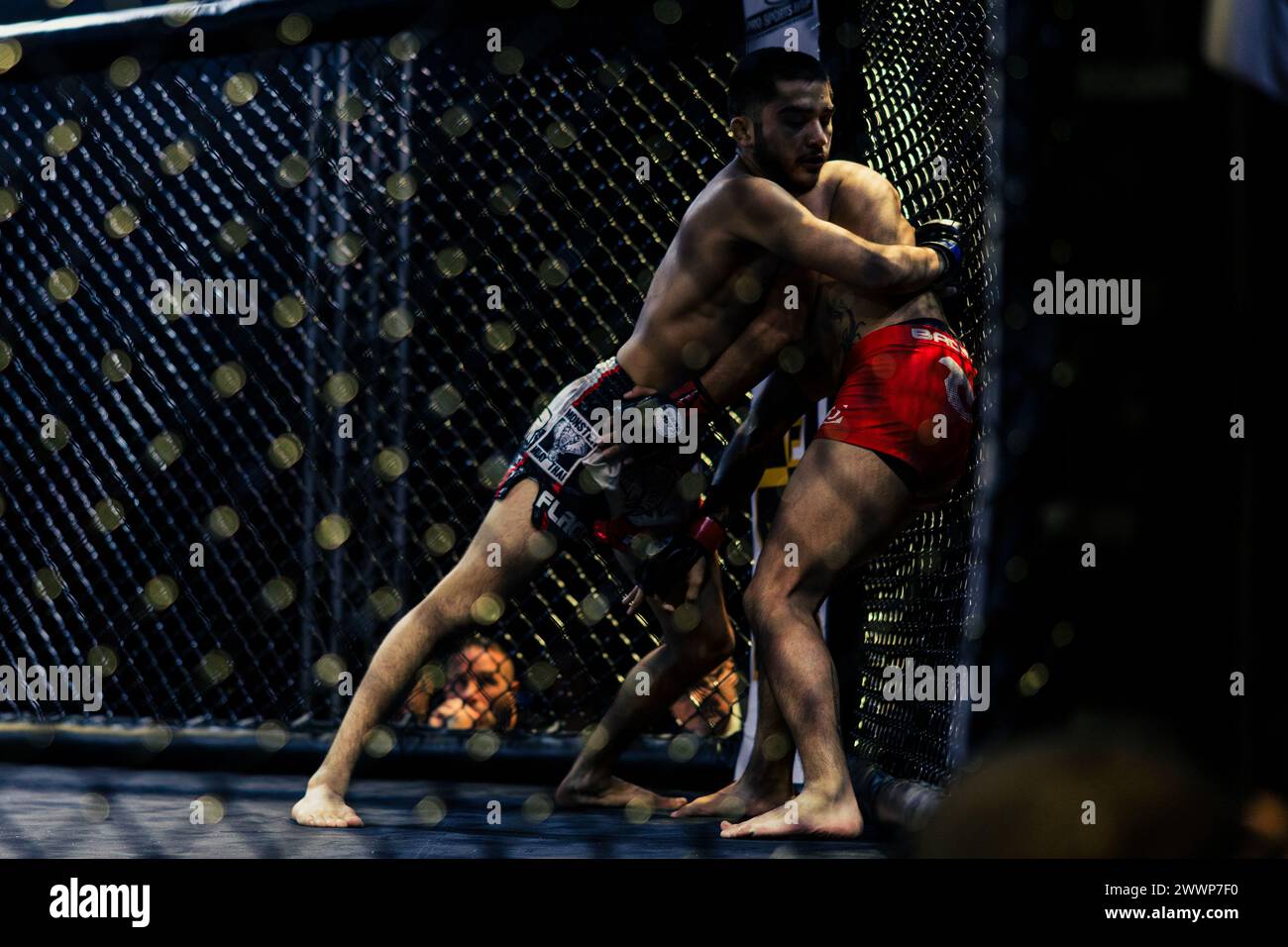 Tony Hernandez with Monster Muay Thai, and Omar Diaz with Ultimate ...