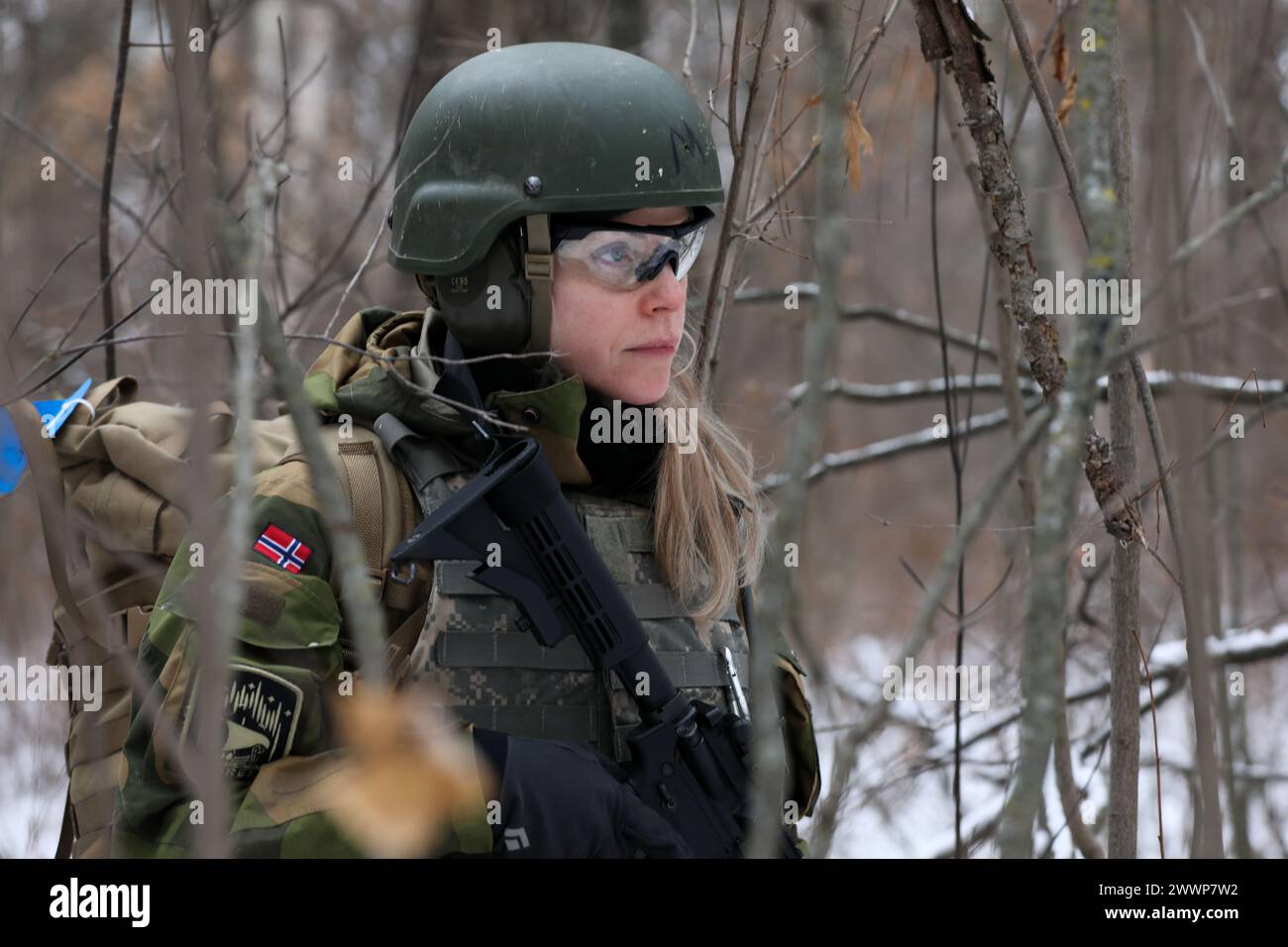 The Norwegian Rapid Reaction Force conducts ambush Situational Tactical ...