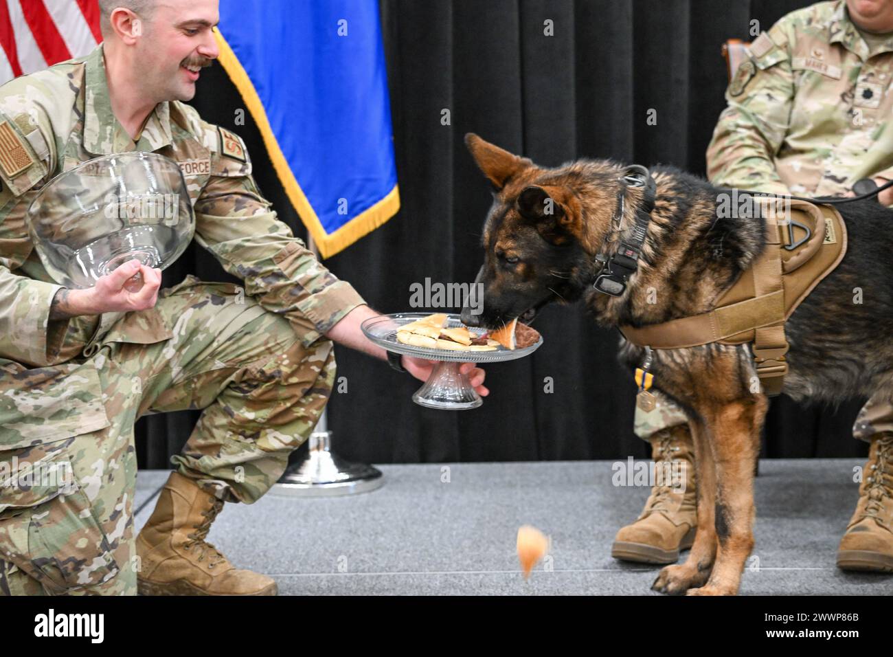 Daniel duarte hi-res stock photography and images - Alamy