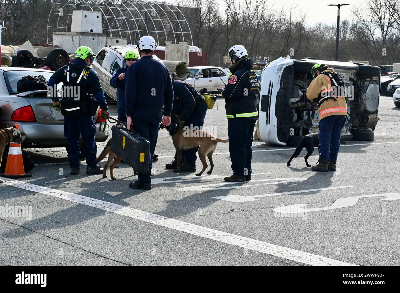 Maryland Task Force 1 (MD-TF1) and Virginia Task Force 1 (VA-TF1) of ...