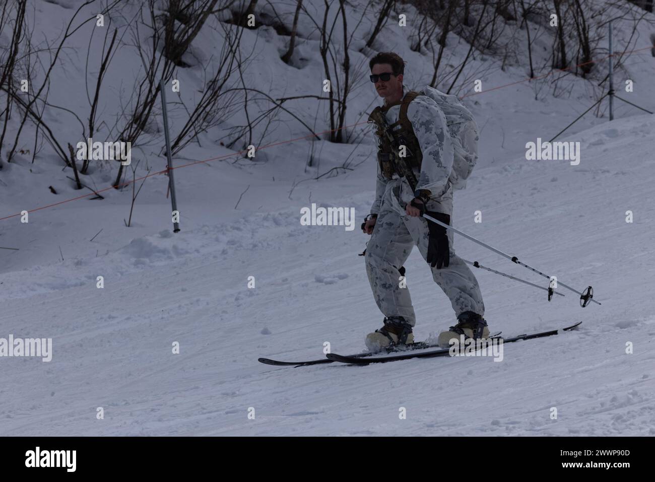 U.S. Marine Corps Sgt. Tyler Michaelson skis downhill during Korea ...