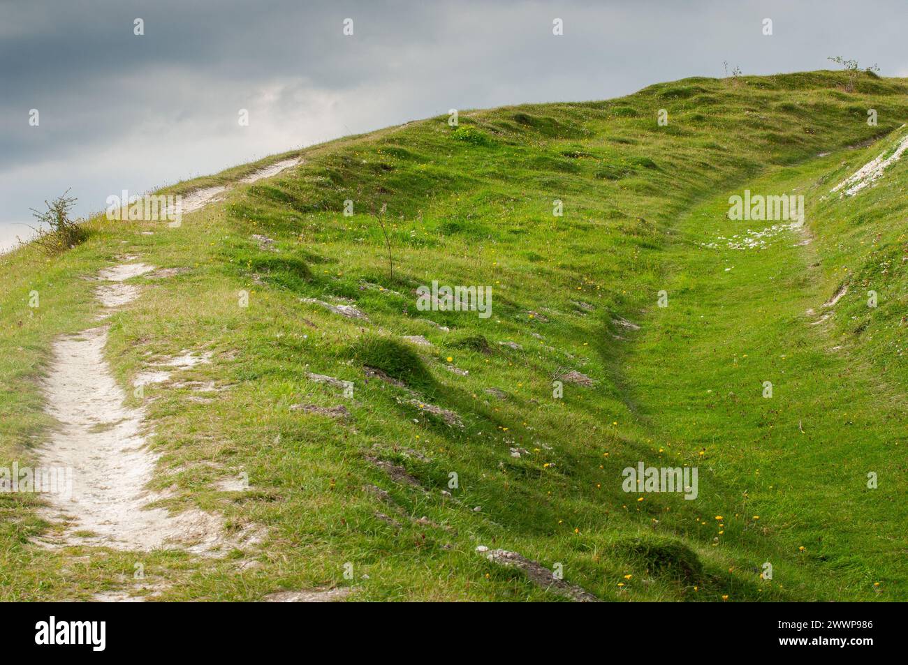 A Chalk pathway curves around a hill and dissapears, Aston Rowant ...