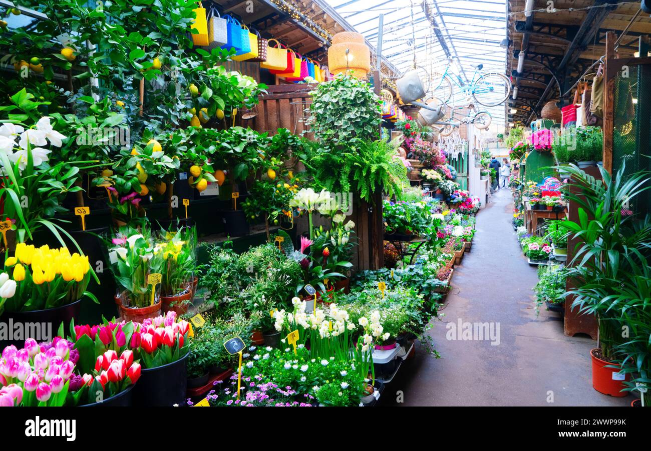 Flower store paris hi-res stock photography and images - Alamy