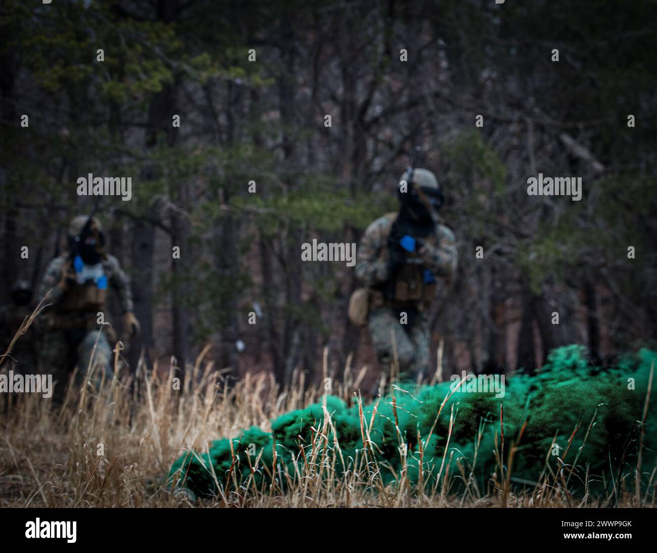 Marines with Bravo Company, Marine Barracks Washington D.C. maneuver ...