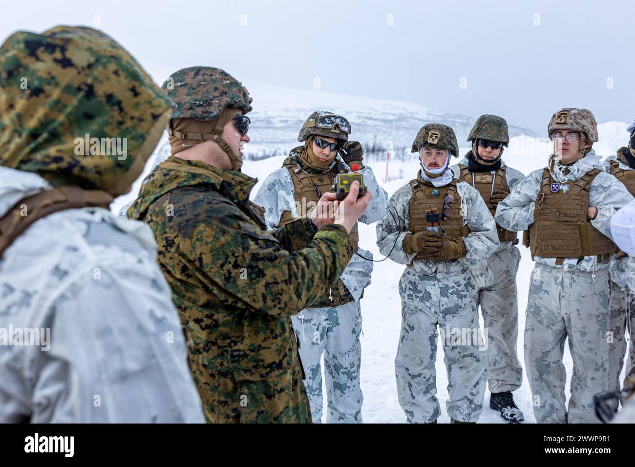 U.S. Marine Corps Staff Sgt. Brandon Drennan a Combat Engineer with ...