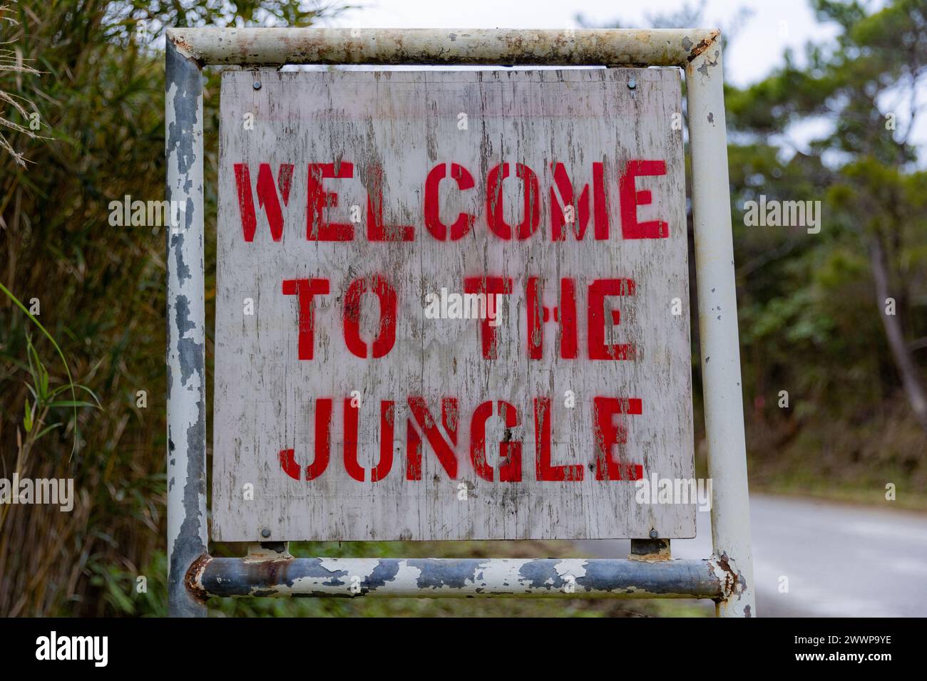 Welcome to the jungle sign hi-res stock photography and images - Alamy