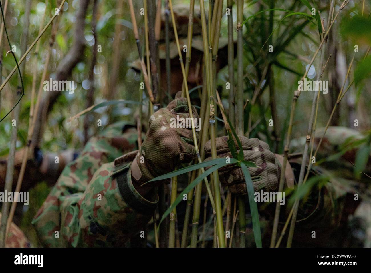 A soldier with the Amphibious Rapid Deployment Brigade Recon Company ...