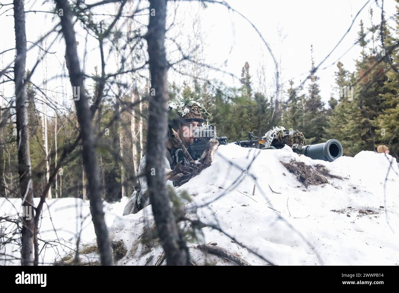 A Canadian Soldier from Alpha (Para) Company, 3rd Battalion, Princess ...