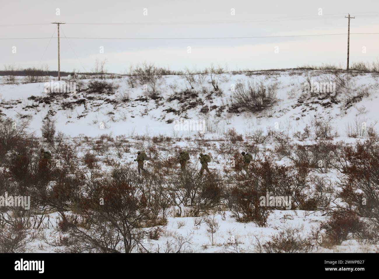 Alaska Army National Guardsmen with Bison Company, 1st Battalion, 297th ...